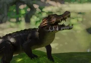 Zoopedia - Planet Zoo